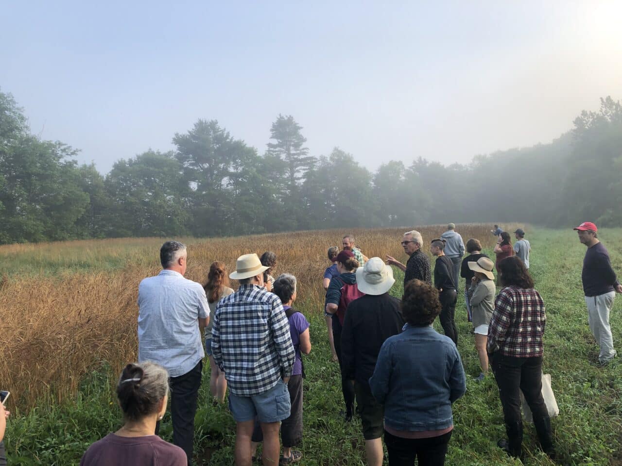 Maine Grain Alliance | We provide opportunities to learn and share how ...